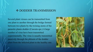 Transmission of plant viruses | PPTX