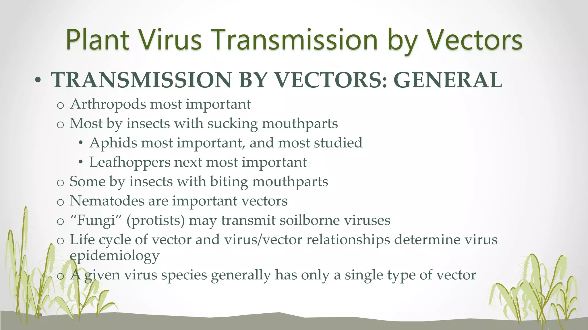 Transmission of viruses | PPTX