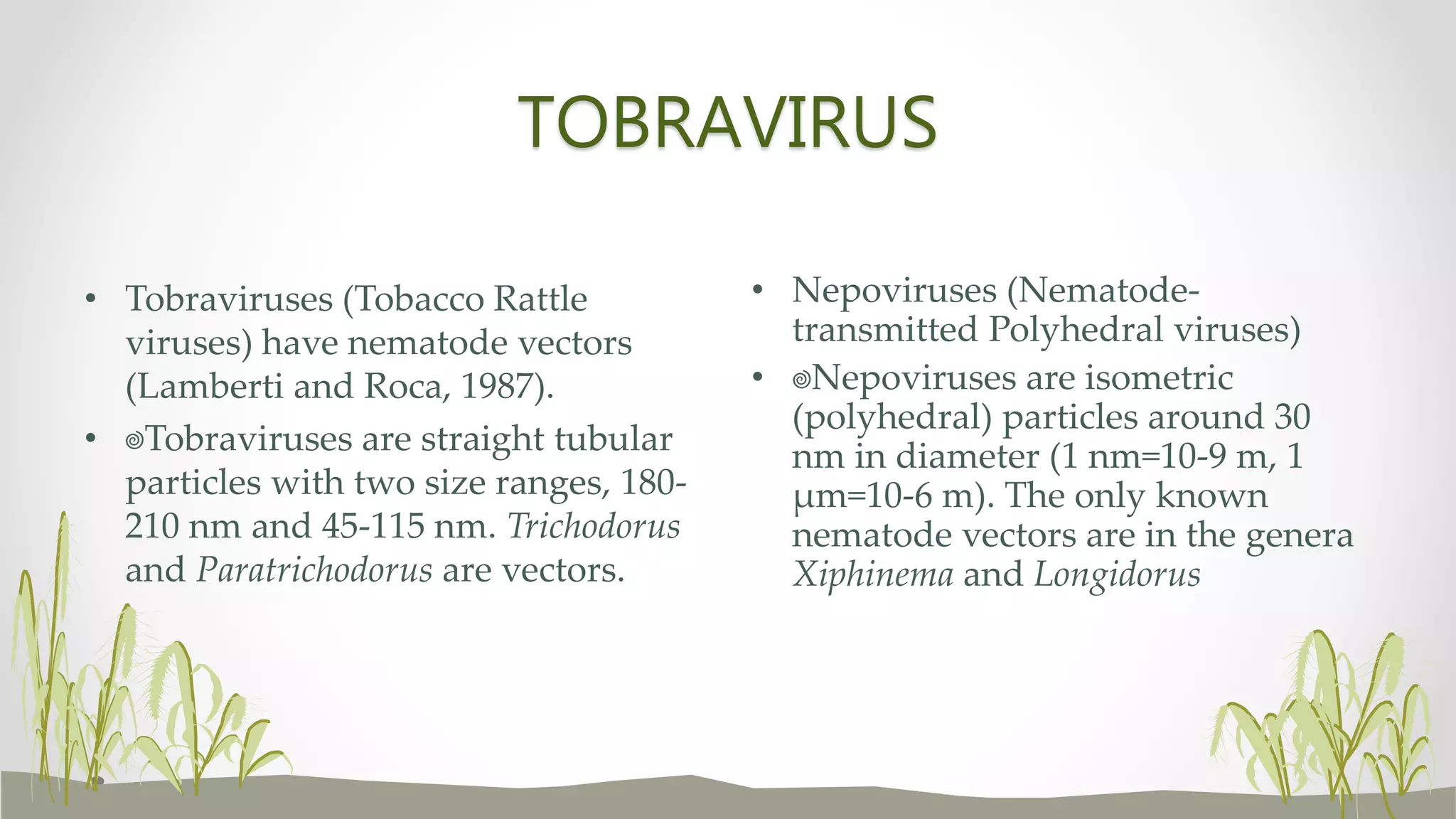 Transmission of viruses | PPTX