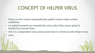 Transmission of viruses | PPTX