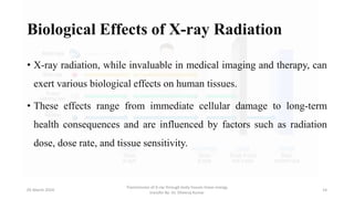 Transmission of X-ray through body tissues linear energy transfer..pptx