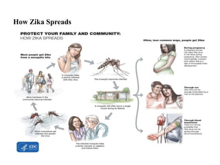 Transmission of zika virus | PPT