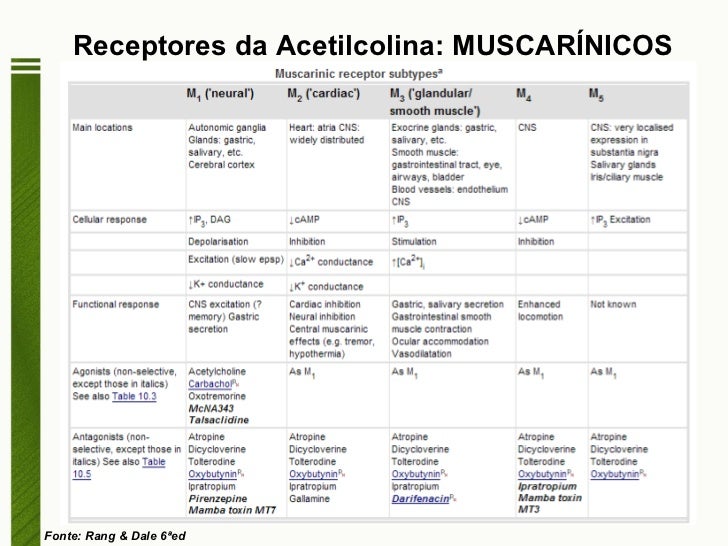 Transmissão Colinérgica