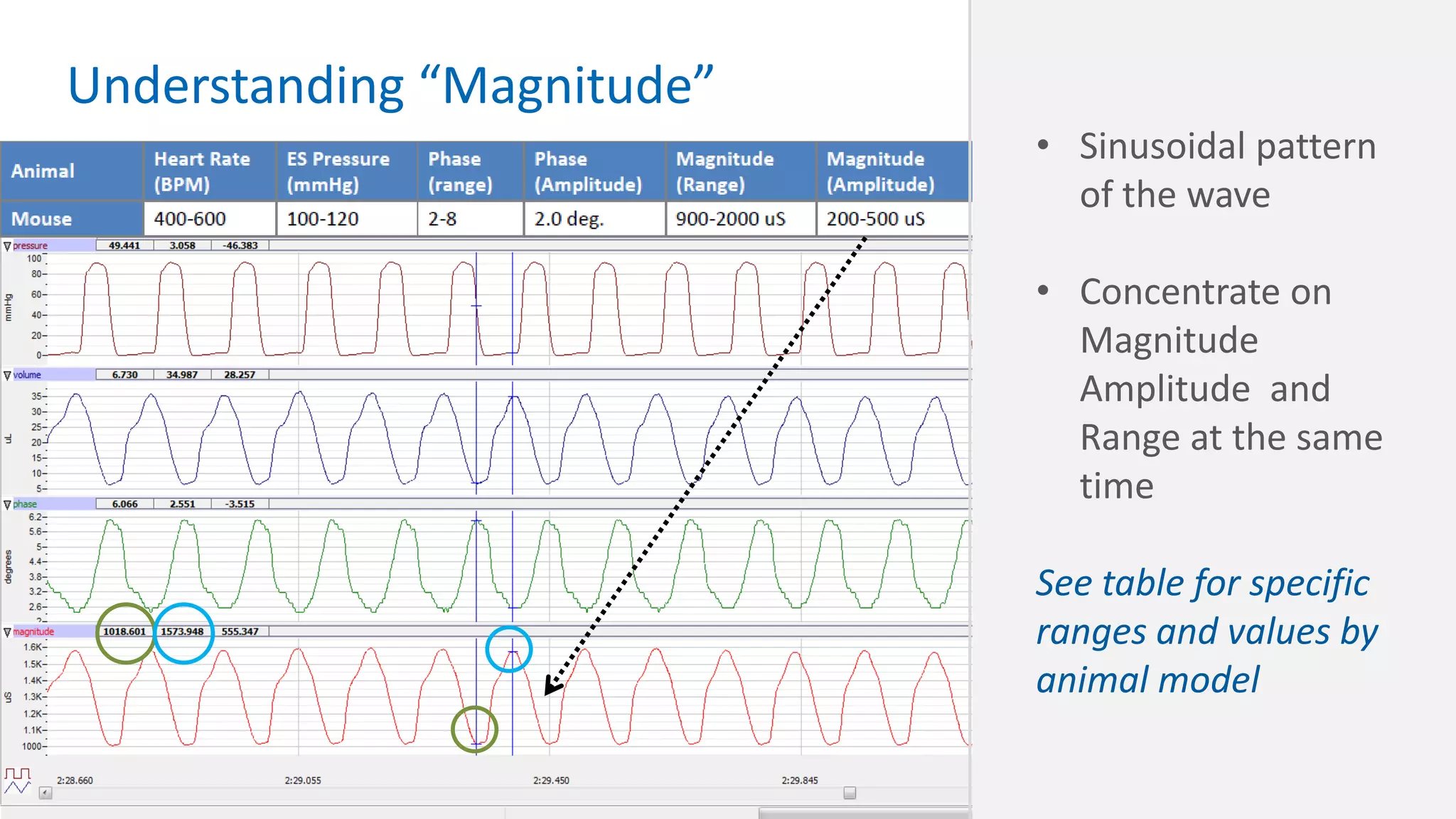 Best-Practices to Achieve Quality PV Loop Data | PDF