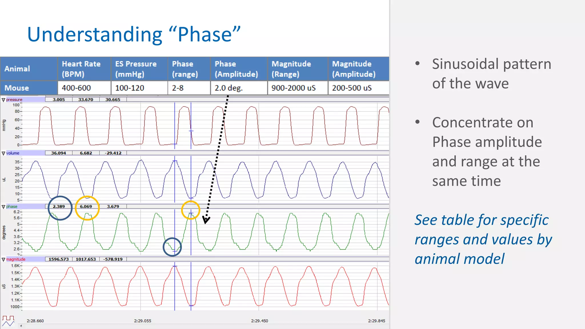 Best-Practices to Achieve Quality PV Loop Data | PDF
