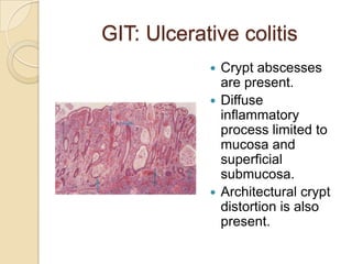 Transparencies and slides identification points | PPTX | Digestive ...