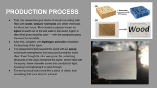 Transparent Wood | PPTX