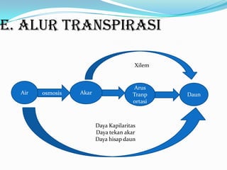 Transpirasi tumbuhan melalui stomata | PPTX
