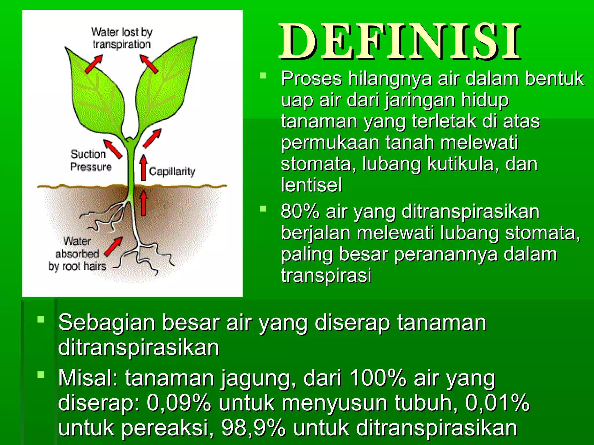 Transpirasi (1) x | PPT