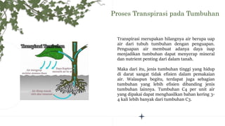 TRANSPIRASI, GUTASI, MEKANISME BUKA TUTUP STOMATA.pptx