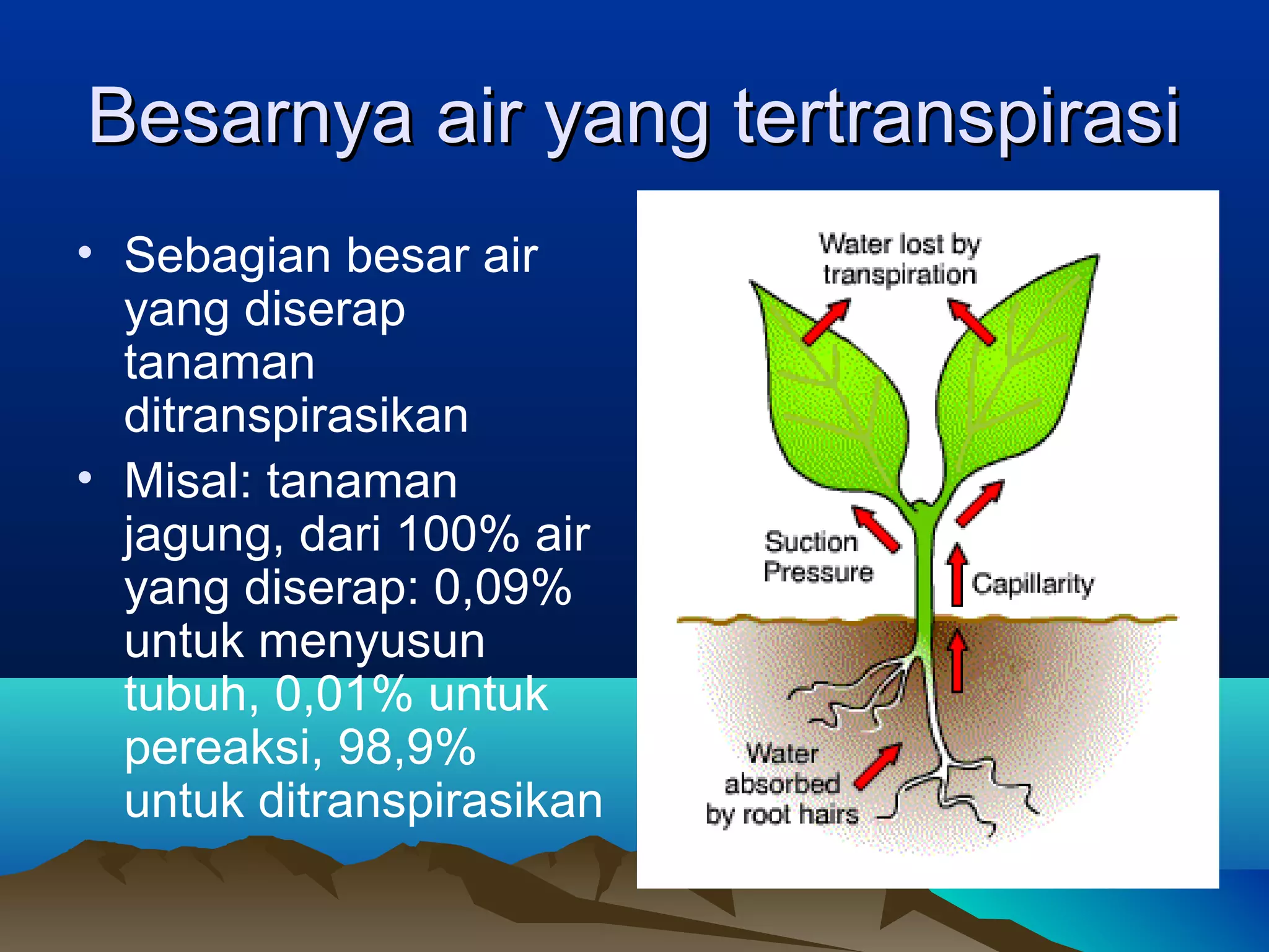 Transpirasi tumbuhan 2 kmkpom'[p | PPT