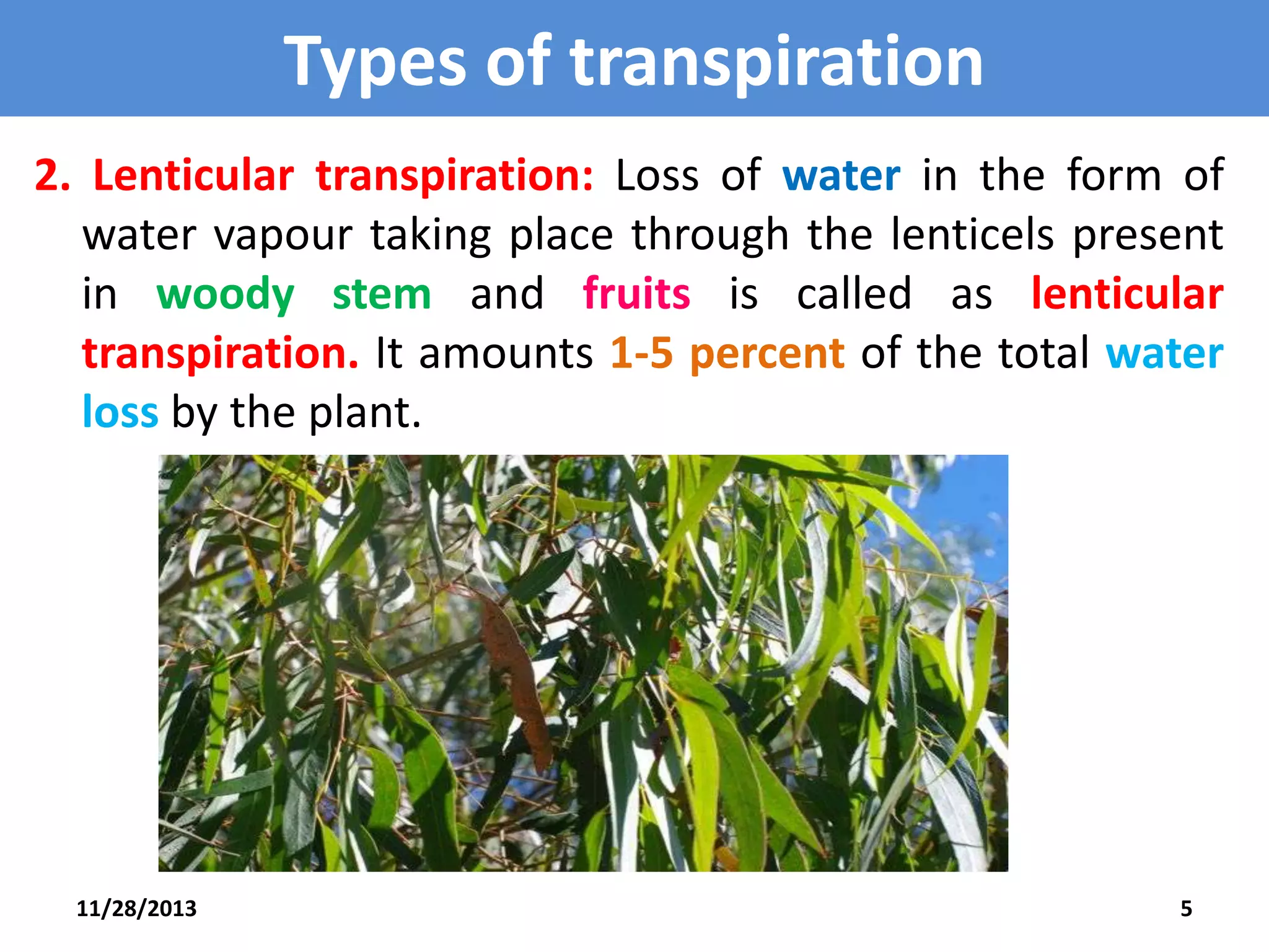 transpiration-131128073616-phpapp01.pdf