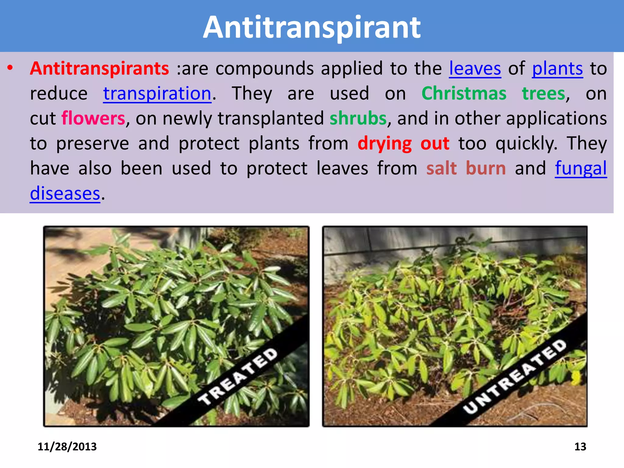 Transpiration | PPTX
