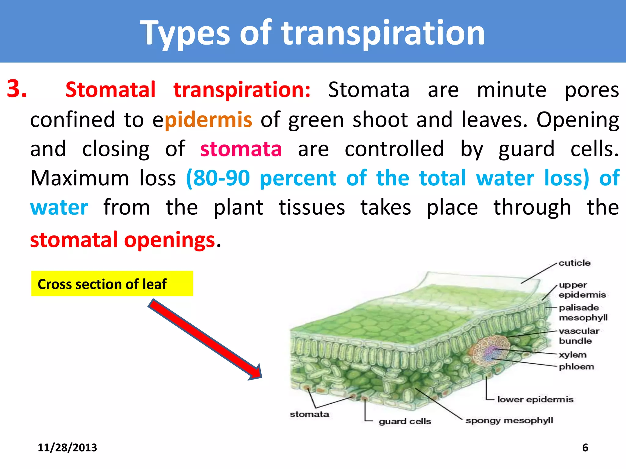 Transpiration | PPTX