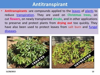 Transpiration Examples