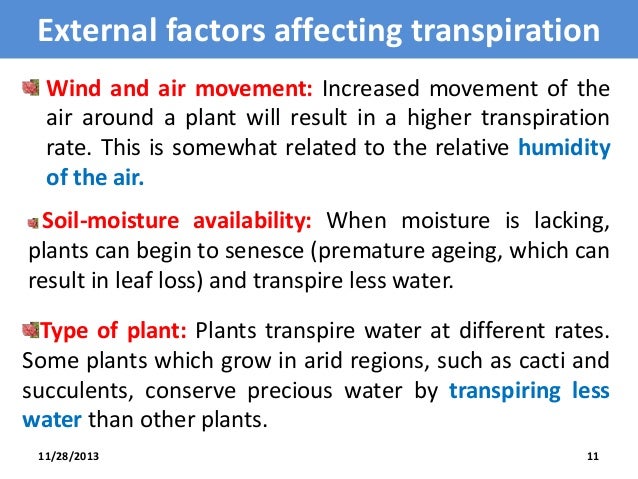 Transpiration