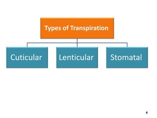 Transpiration with its types | PPTX