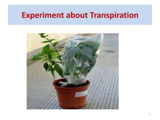 Transpiration with its types | PPTX