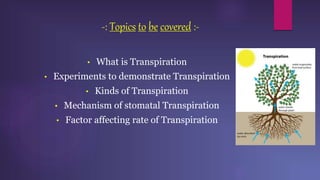 Transpiration | PPTX