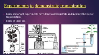 Transpiration | PPTX