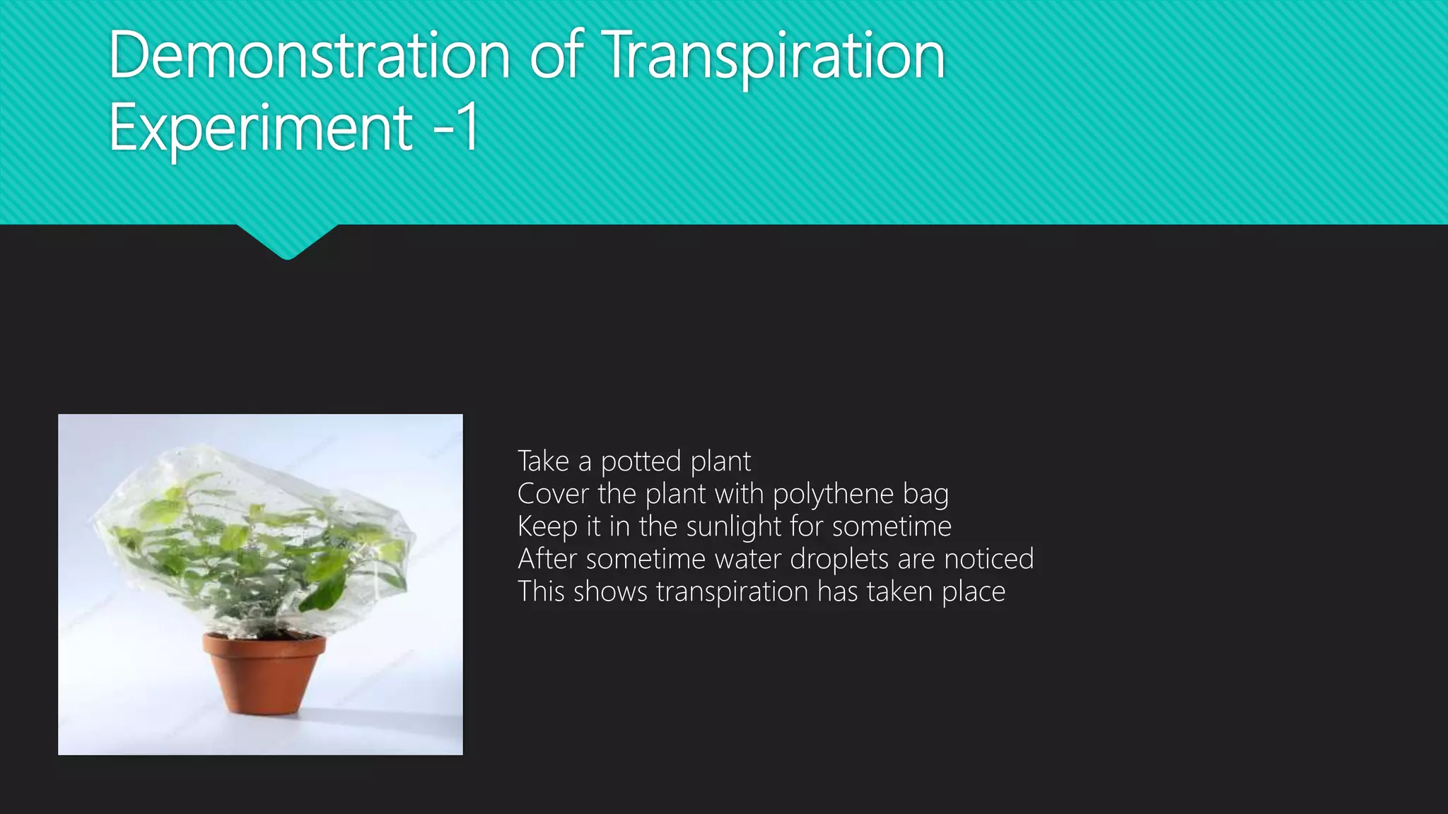 Transpiration | PPTX