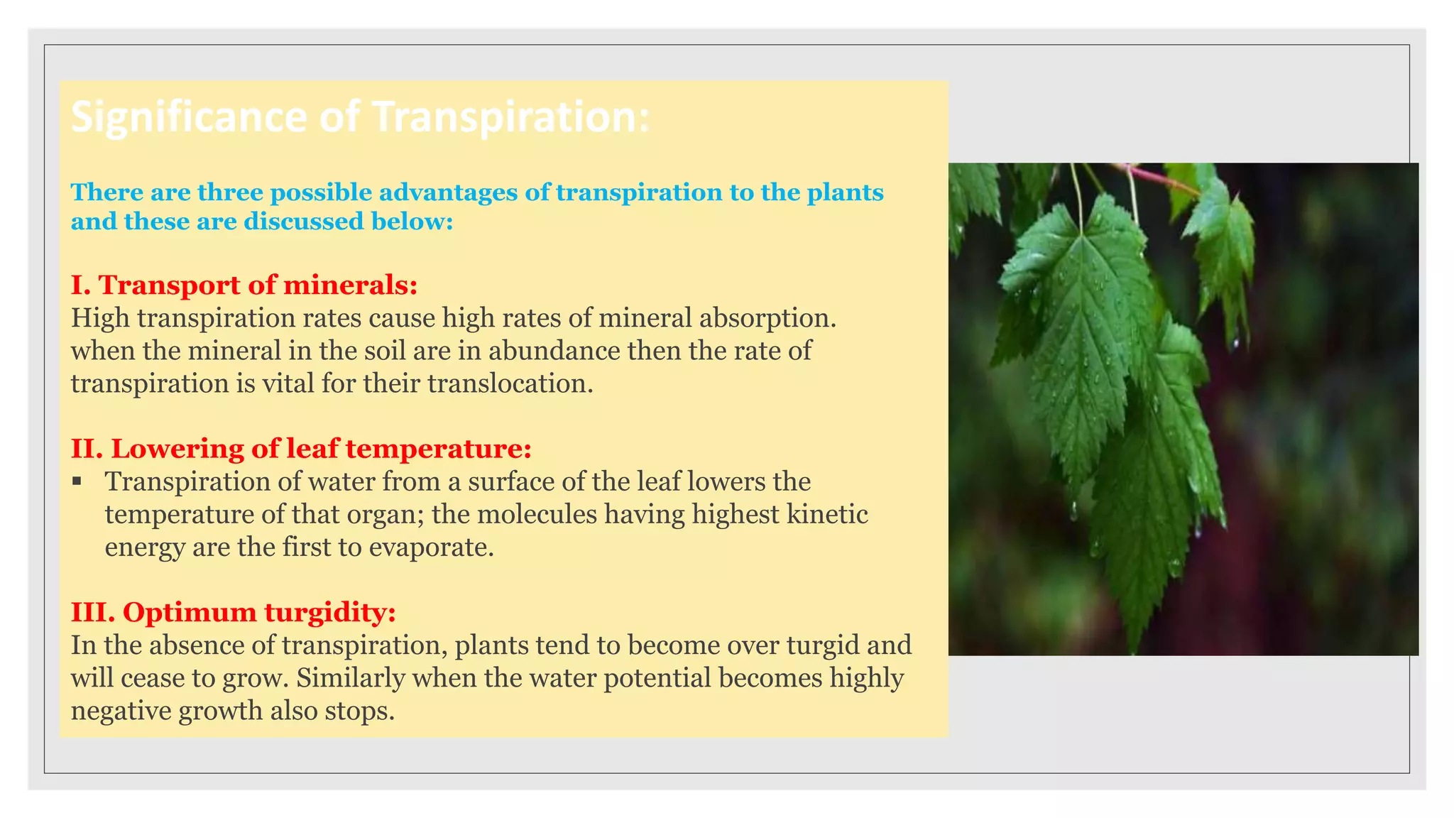 Transpiration and its types | PPTX