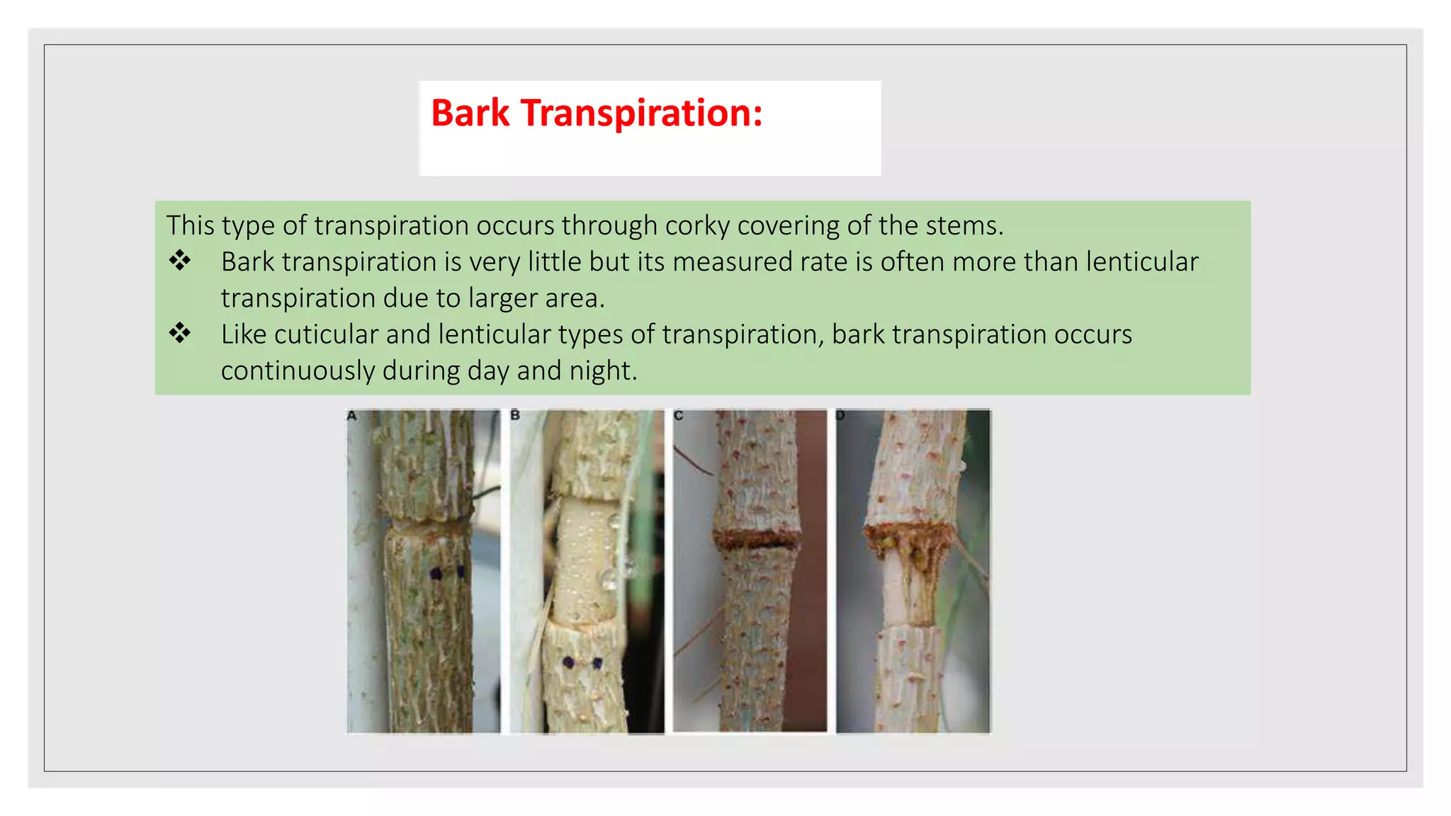 Transpiration and its types | PPTX