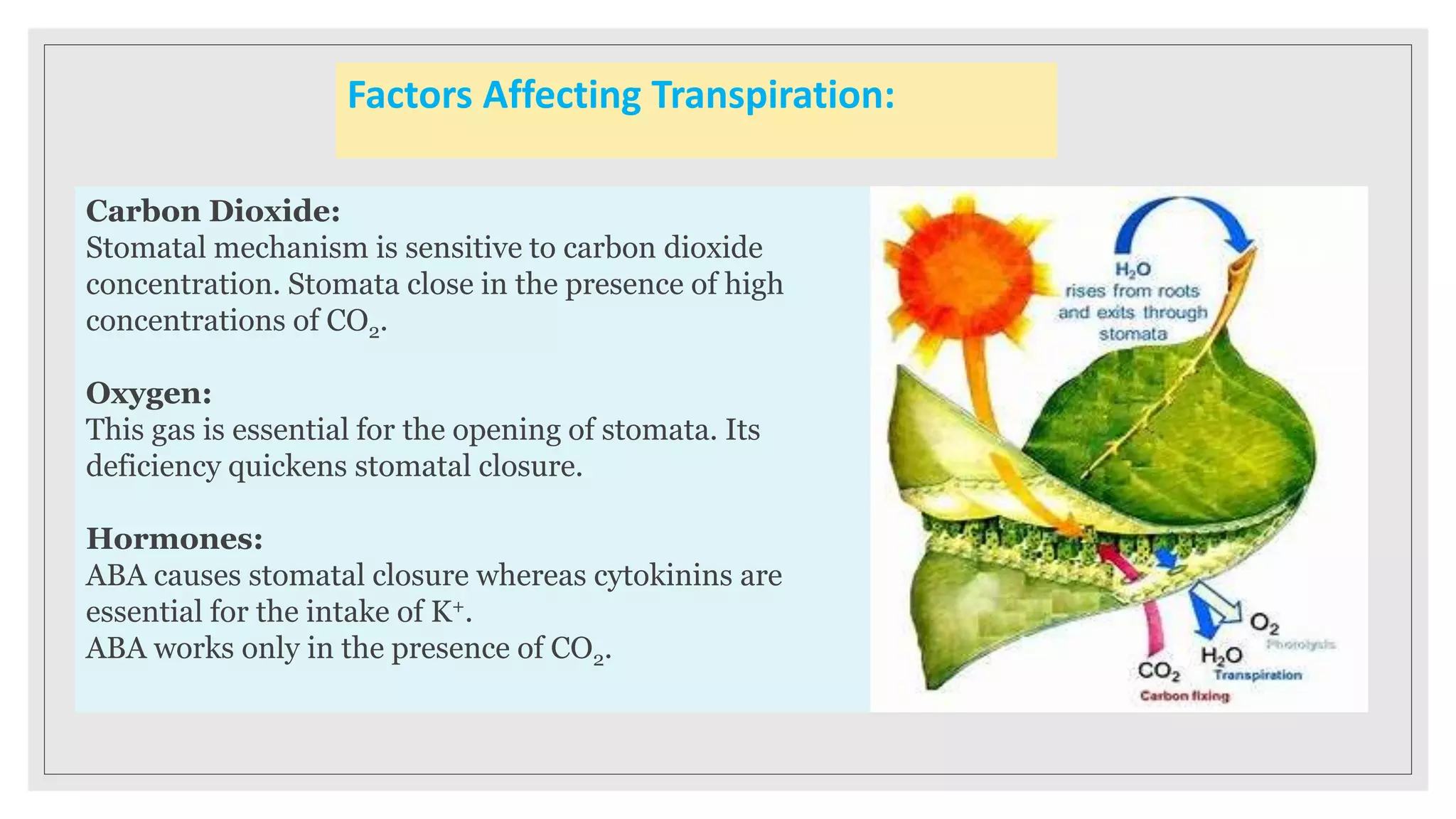 Transpiration and its types | PPTX