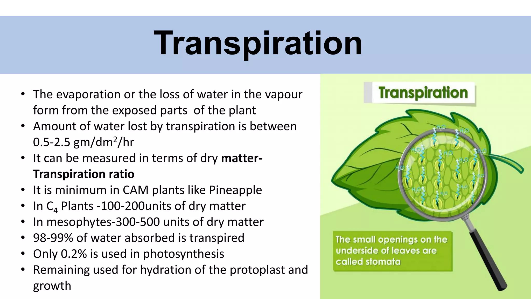Transpiration | PPTX