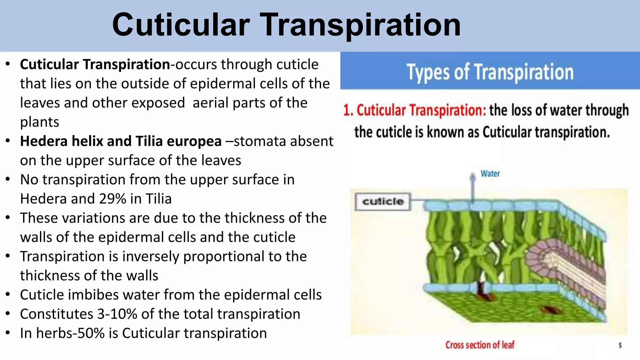 Transpiration | PPTX