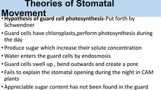 Transpiration | PPTX