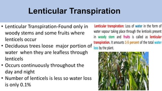 Transpiration | PPTX