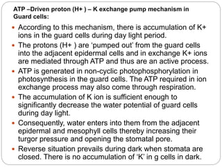 Transpiration | PPTX
