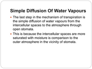 Transpiration | PPTX