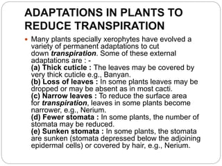 Transpiration | PPTX