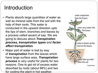 Transpiration | PPTX
