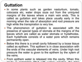 Transpiration | PPTX