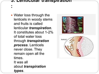 Transpiration | PPTX
