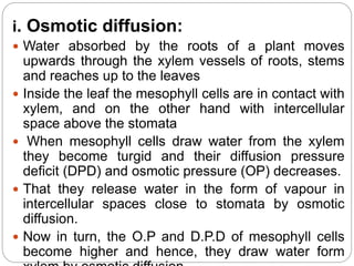 Transpiration | PPTX