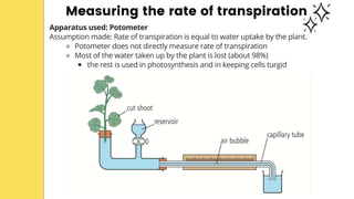 Transpiration.pptx