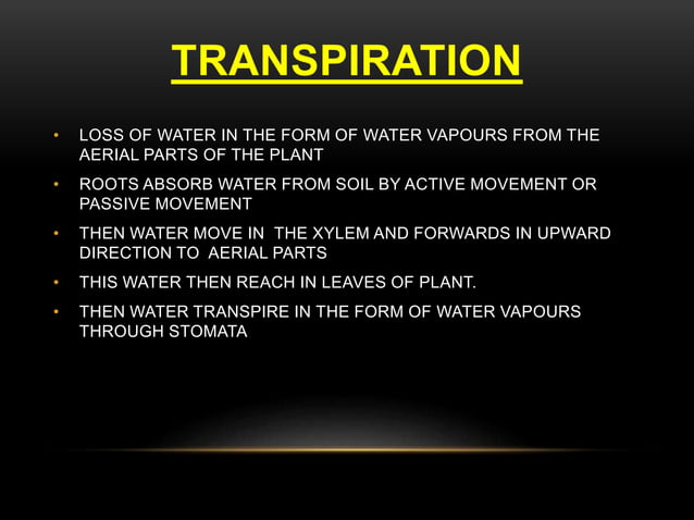 TRANSPIRATION.pptx