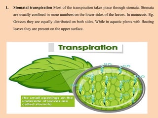 Transpiration.pptx