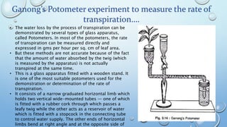 Presentation on Transpiration and its types.pptx