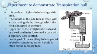 Presentation on Transpiration and its types.pptx