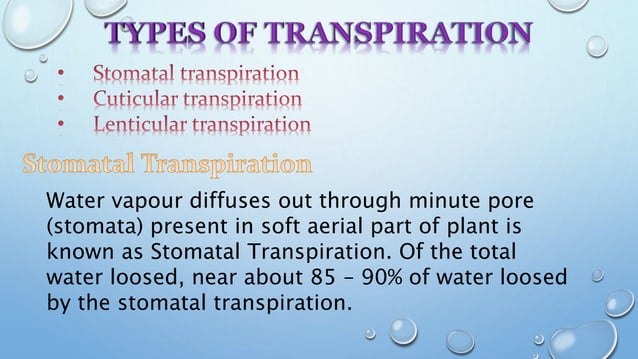 Presentation on Transpiration and its types.pptx