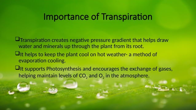 Types of Transpiration system of plants. | PPT