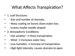 Transpiration for the 8th grades about it | PPTX