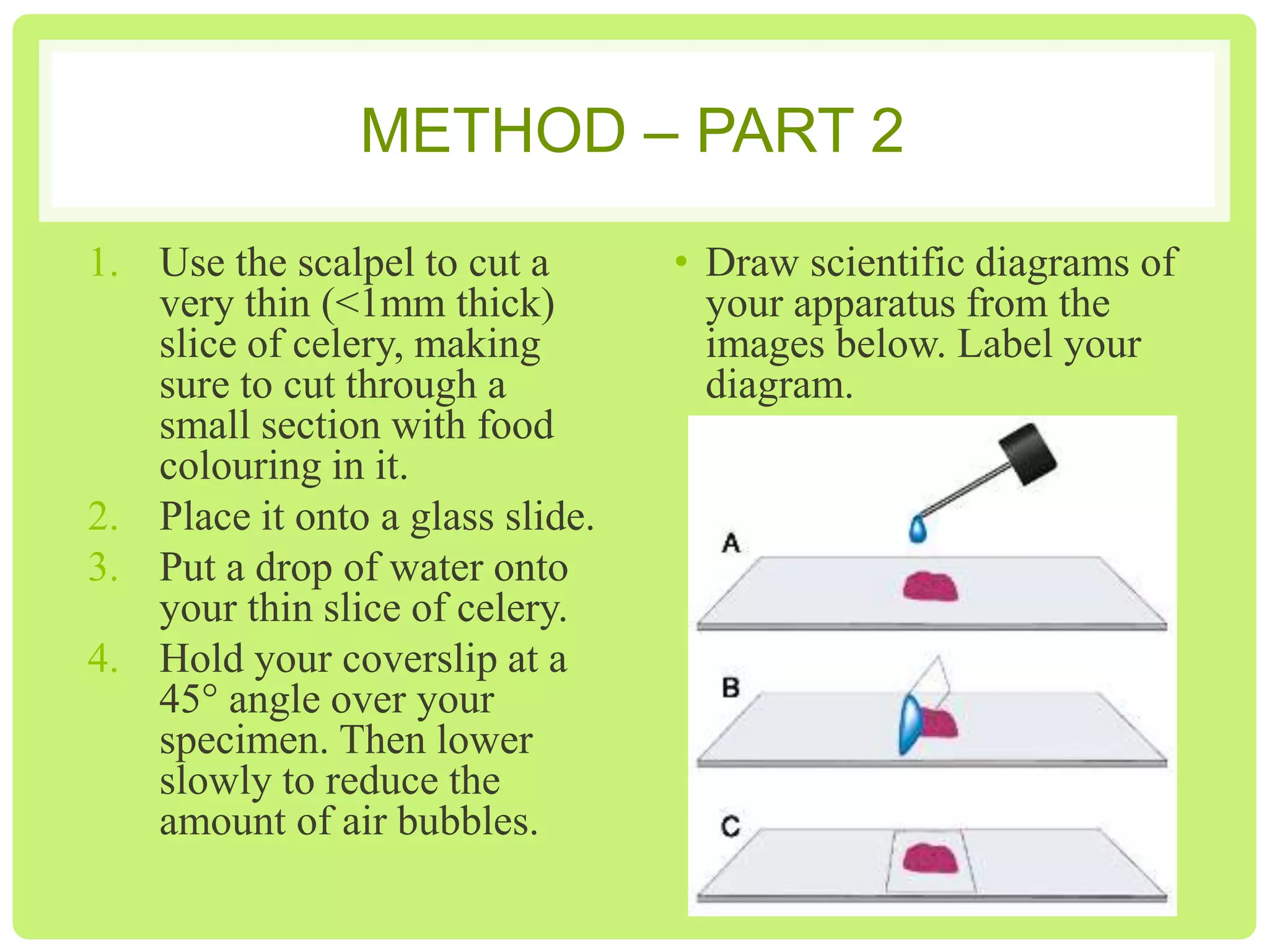 Transpiration experiment | PPTX
