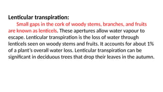 Transpiration in plants-Plant physiology.pptx