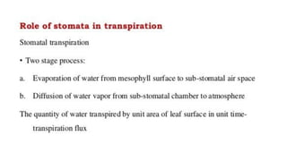 Transpiration | PDF